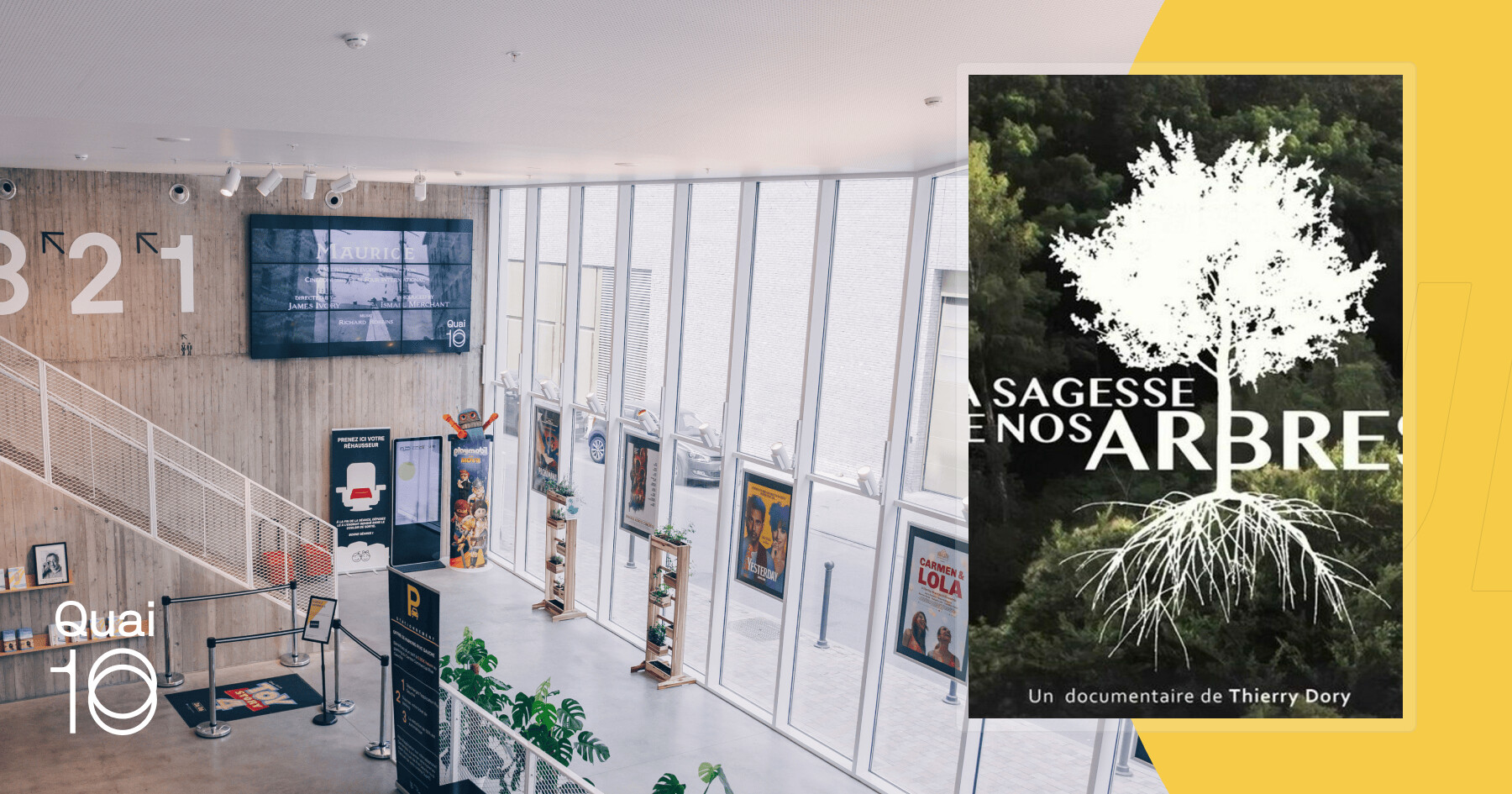 La sagesse de nos arbres | Cinéma — Quai10